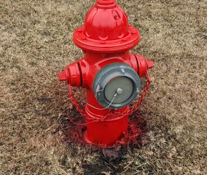Melissa G. Henderson | Fire Hydrant Protectors